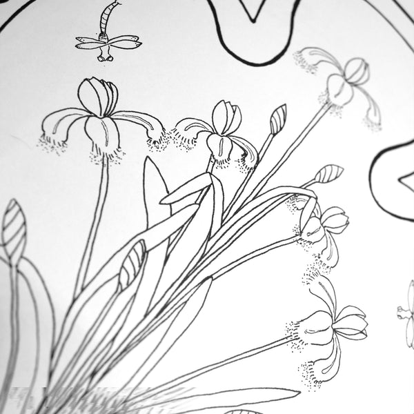 The Art Nouveau Riga Colouring book